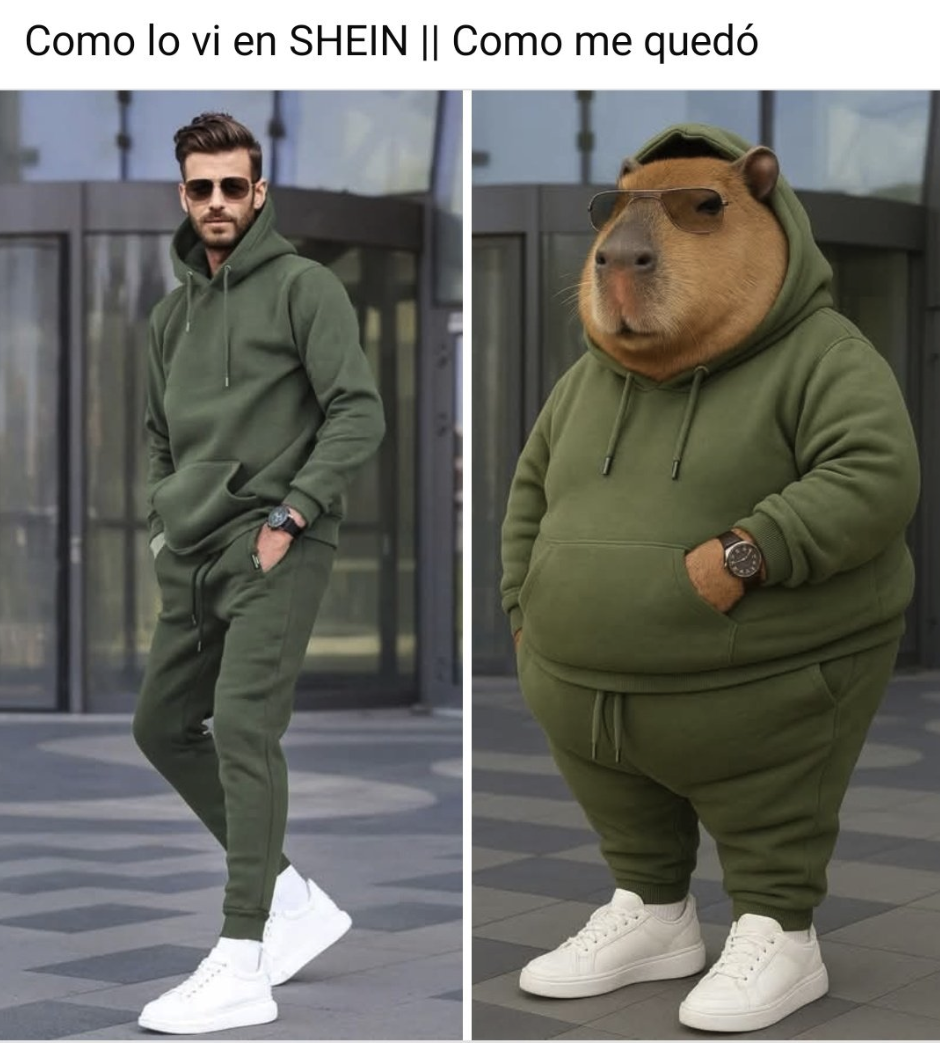 Cosas de Shein – memesdiarios